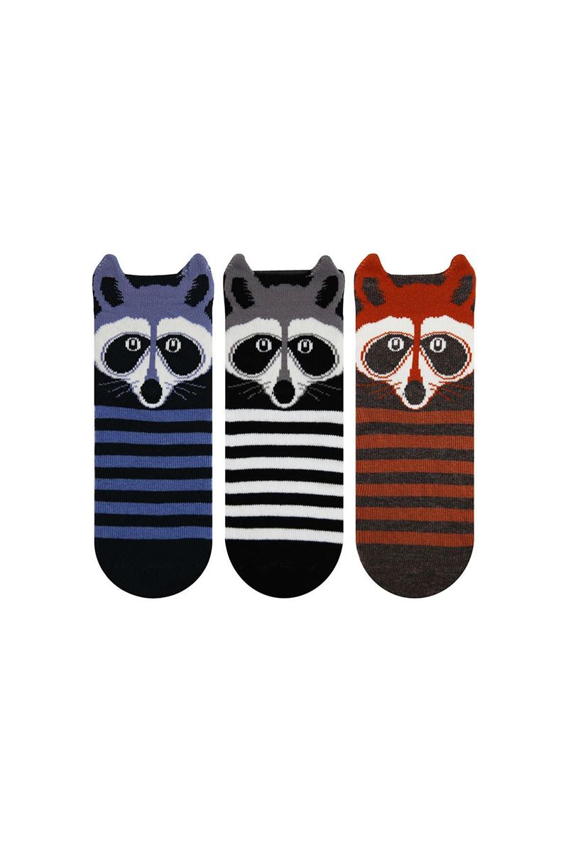 BROSS 3D RACCOON PATTERNED BOYS SOCKS | Buy Branded Wholesale Socks ...